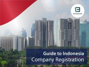 Effortless Guide to Indonesia Company Registration in 2024