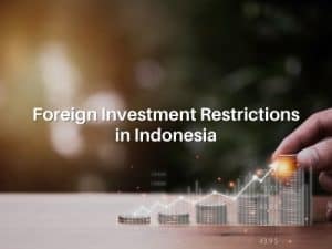 Foreign Investment Restrictions in Indonesia - a Comprehensive Guide