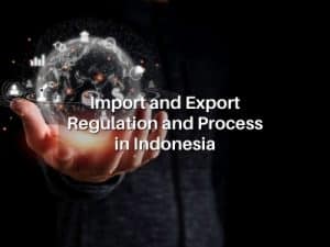 Import and Export Regulation and Process in Indonesia - a Guideline