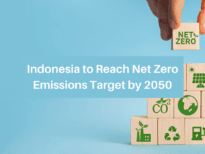 Indonesia Reaching Net Zero Emissions Before 2050