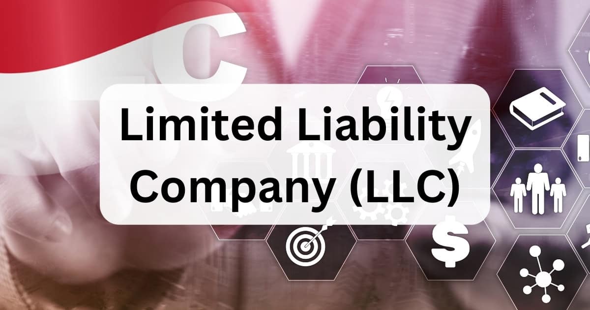 Limited Liability Company (LLC) - Business Compendium
