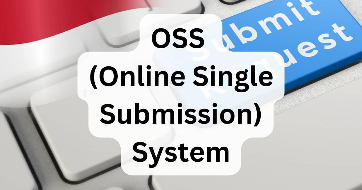 OSS (Online Single Submission) System