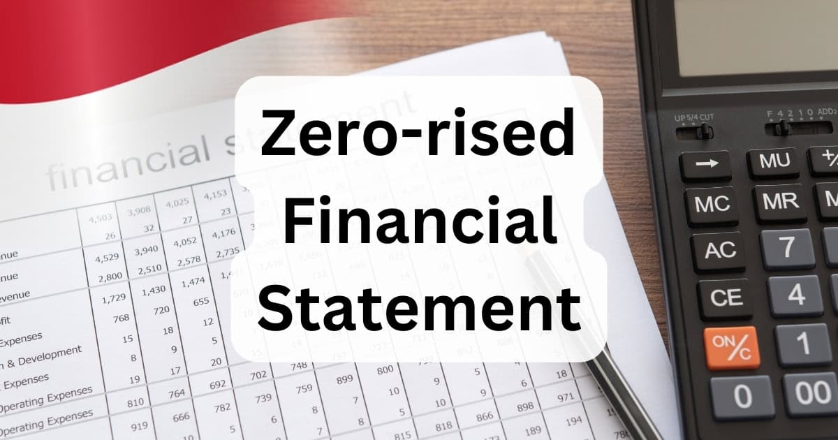 Zero-rised Financial Statement - Business Compendium